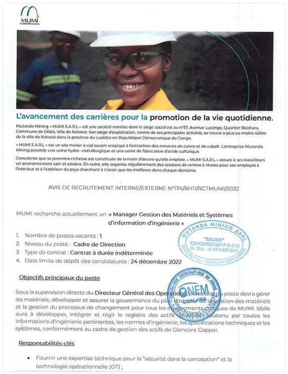 Manager gestion des matériels et systèmes d'information d'ingénierie - Congo Pub Online