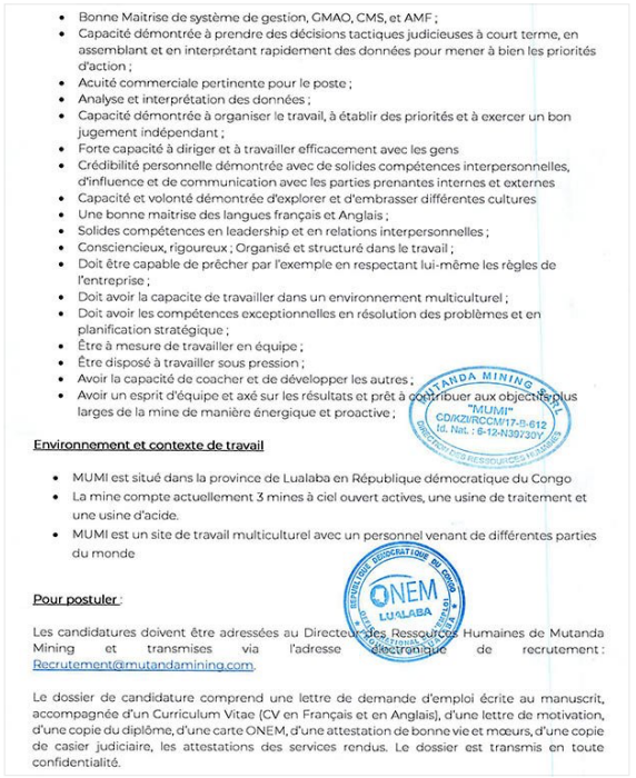 Manager gestion des matériels et systèmes d'information d'ingénierie - Congo Pub Online